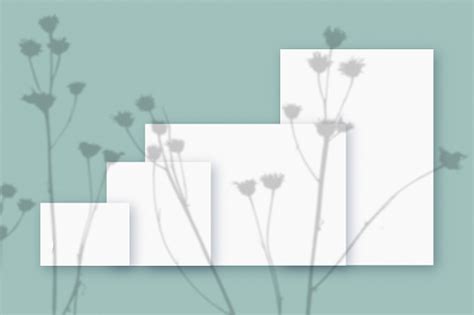 베이지 색 테이블 배경에 질감이 있는 백서 4장에 식물 그림자가 겹쳐진 모형 0명에 대한 스톡 벡터 아트 및 기타 이미지 0명 A4 용지 개체 그룹 Istock