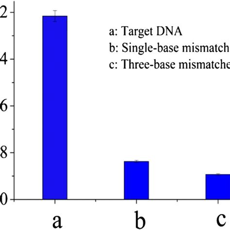 A Characterization Of The Modification Of The Electrode By Eis Within