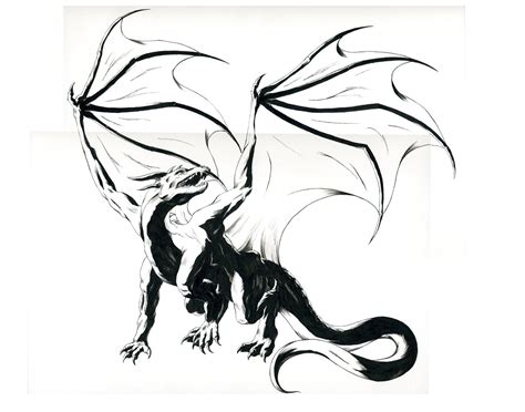 Black Dragon Drawing At Getdrawings Free Download