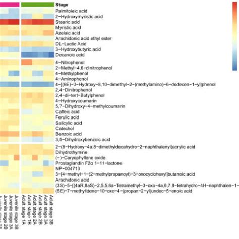The Heatmap Of The Contents Of Allelopathic Compounds In The Culture Download Scientific