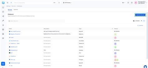 Database Service Setup