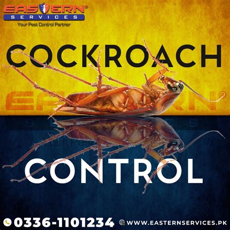 Cockroach Control In Industrial Area Islamabad Eastern Services