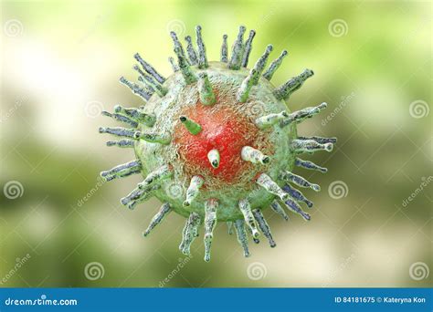 Epstein Barr Virus Ebv Stock Illustration Illustration Of Glycoprotein