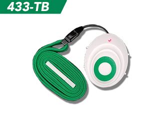 Wireless Central Monitor Unit 433 CMU Smart Caregiver