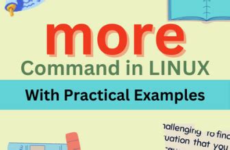 The Pwd Command In Linux Practical Examples Linuxsimply