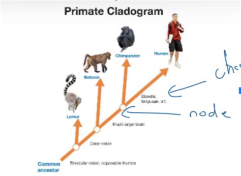 Science Chapter 15 Study Guide Flashcards Quizlet
