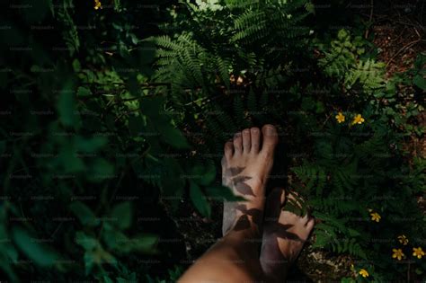 자연 속에서 맨발로 야외에 서 있는 여성의 맨발 접지 개념 사진 Unsplash의 슬로바키아 이미지