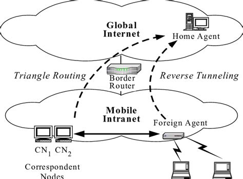 Routing And Tunneling Packets In Mobile IP Over Wireless LAN Download Scientific Diagram