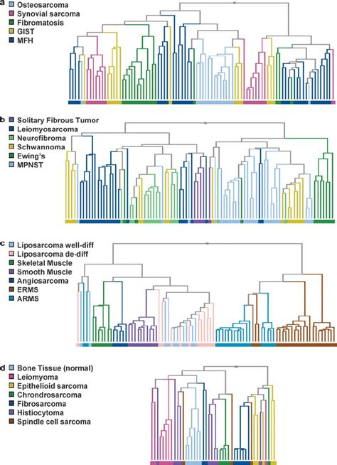Unsupervised Hierarchical Clustering Analysis Of Mirna Expression
