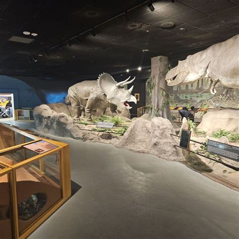 Natural History Museum Las Vegas Sections Las Vegas Natural History