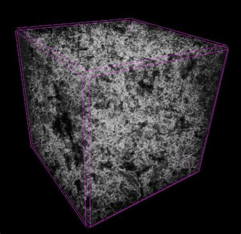 3d Pore Structure Of Sample I A Sample D B Download Scientific Diagram