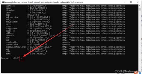 通过conda 安装 Pytorch （避坑） Csdn博客