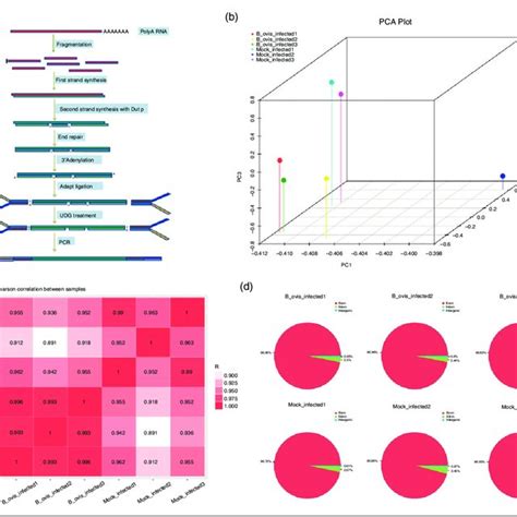 statistical summary of transcriptome sequencing data download