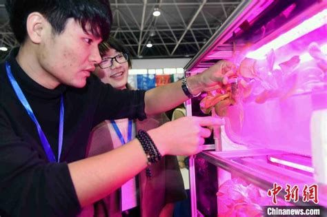 第五届全国大学生智能农业装备创新大赛开赛手机新浪网