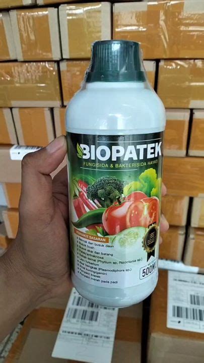 Biopatek Penangkal Ampuh Untuk Busuk Buah Coklat Kakao Dan Fungi Bakteri Tanaman Kakao Obat