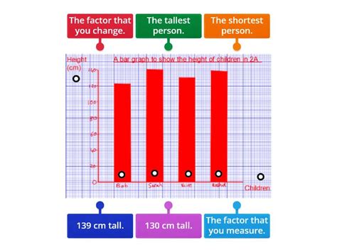 Interpret A Bar Graph Labelled Diagram