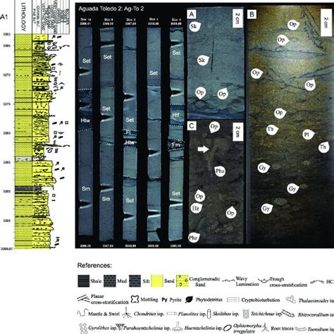 Facies Association 1 Fa1 Delta Front Mouth Bars Trough Download Scientific Diagram