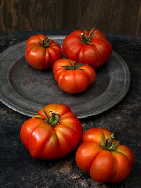 Giseli Rondão adlı kullanıcının texturas panosundaki Pin Natürmort çizim Hayat temalı çizim