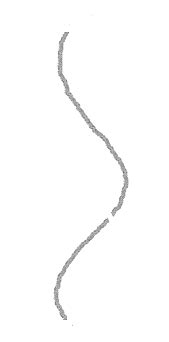 Vector How To Create This Shape In Adobe Xd Graphic Design Stack Exchange