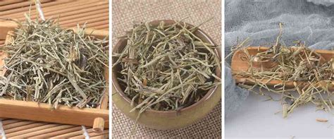 Wen Jing Wenjing Wen Jing Tang Wen Jing Pian For Sale Native