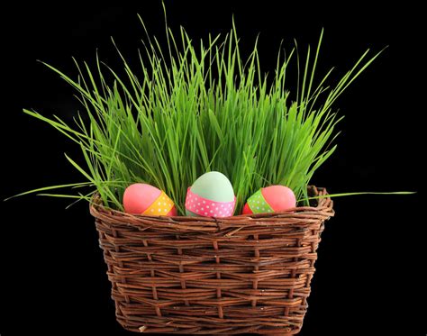 Download Easter Eggsin Basketwith Green Grass