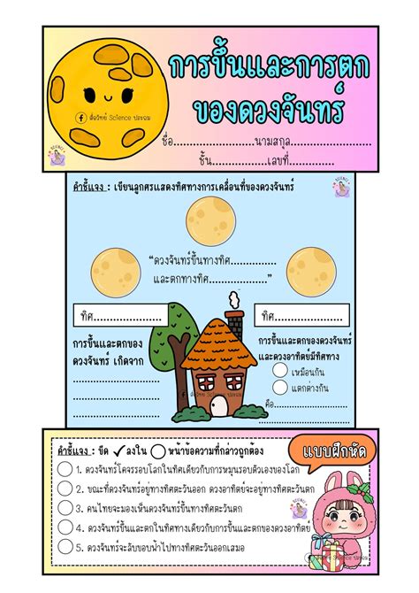 🌟 ชิ้นงาน สื่อวิทย์ Science ประถม