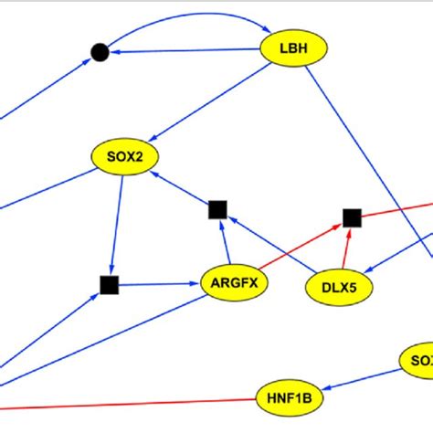 Tool Overview When Scns Is First Started The User Is Presented With