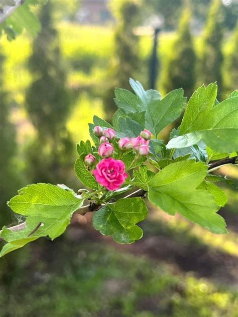 Мэрилин Керро|Marilyn Kerro Официальная группа 2024 | ВКонтакте