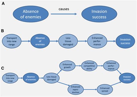 Assumptions Underlying Common Conceptions Of The Enemy Release