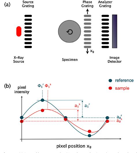 Figure 1 From Grating Based X Ray Phase Contrast For Biomedical Imaging Applications Semantic