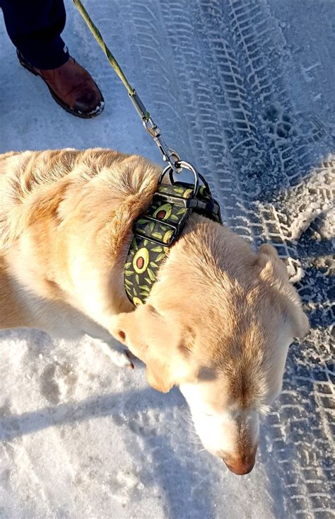 małgorzata gidel on linkedin design