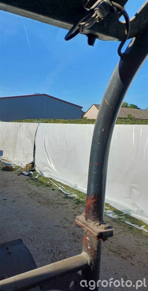 I Pokos Zdjęcie Fotka Foto Numer 835506 Galeria Rolnicza Agrofoto