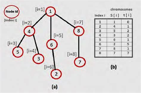 A Multicast Tree With Position Indexes B Extended St Encoding