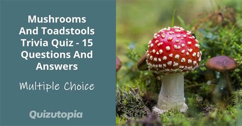 Tallest Trees Trivia Quiz 10 Questions And Answers Quizutopia