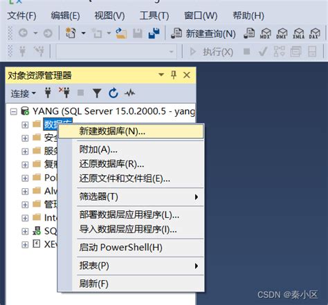 sql server2022的详细安装流程以及简单使用 数据库 秦小区 gitcode 开源社区