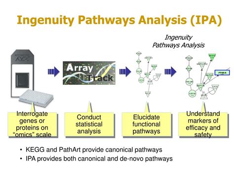 Ppt Arraytrack Data Management Analysis And Interpretation Tool For Dna Microarray And