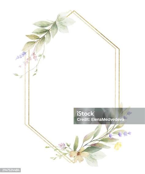 수채화 벡터 섬세한 꽃 프레임 와 황금 기하학적 모양 초원 꽃 테두리입니다 청첩장 카드 문구류 날짜 패션을 위한 디자인 휴일 장식 손으로 그린 그림입니다 0명에 대한 스톡