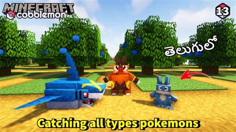 Minecraft Cobblemon Catching All Types Pokemons 13 In Telugu Youtube