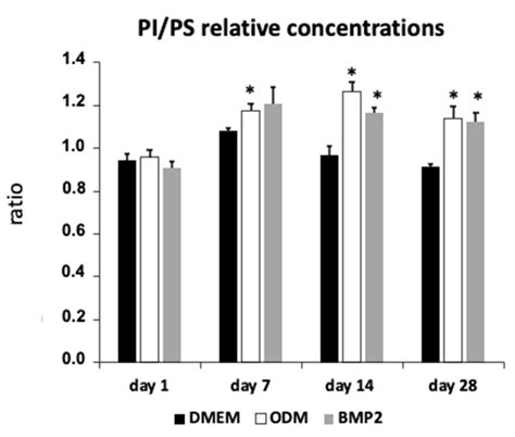 The Diagram Shows The Relative Concentrations Of Phosphatidylinositiols Download Scientific
