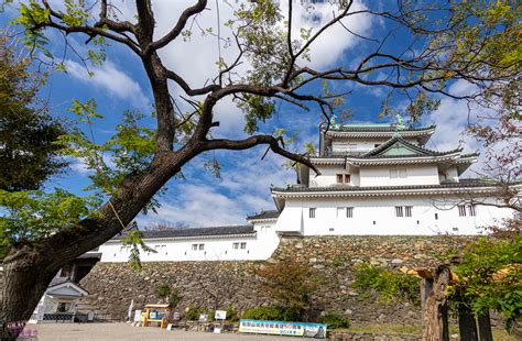 和歌山城 日本百大名城之一，賞櫻、賞楓的絕佳景點