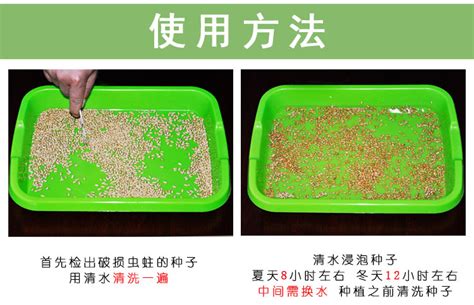 現貨快速出貨紙漿 育苗紙 家庭種菜 種菜紙 芽菜盤 無土栽培 芽苗菜 種植紙 種菜工具 吸水 保濕 防漏 豆芽育苗盤 蝦皮購物