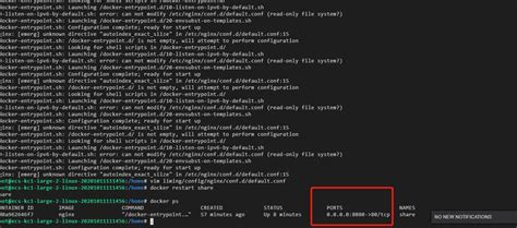 Docker 容器中部署项目后一直重启原因netcore 自动重启了 原因 Csdn博客