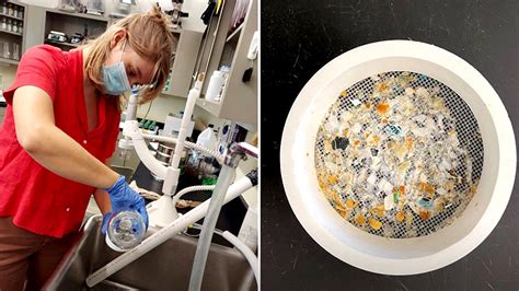 Measuring Microplastics Biocycle