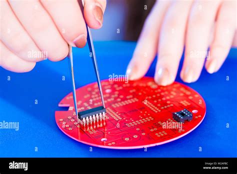 The Girl With The PCB Stock Photo Alamy