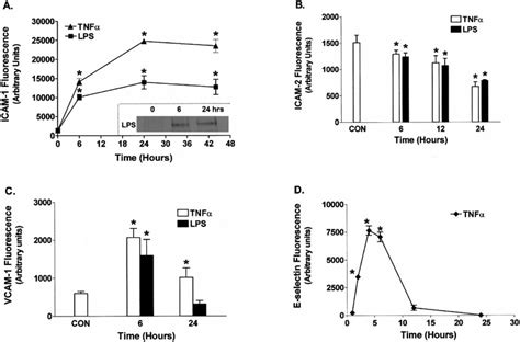 Lps And Tnf Modulate Adhesion Molecule Protein Expression In Hiecs Download Scientific Diagram