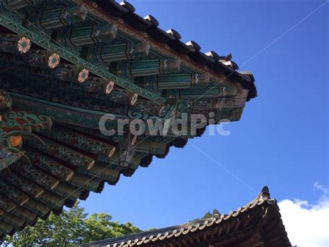 Architecture 건축물 Temple 신전 전통문양 사진 이미지 일러스트 캘리그라피 하이작가