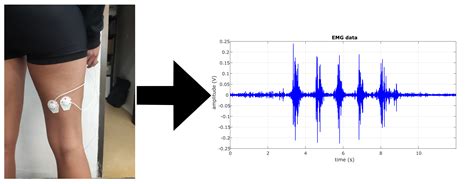 Electromyography Of The Biceps Femoris During The Gait Cycle Dataset Ieee Dataport