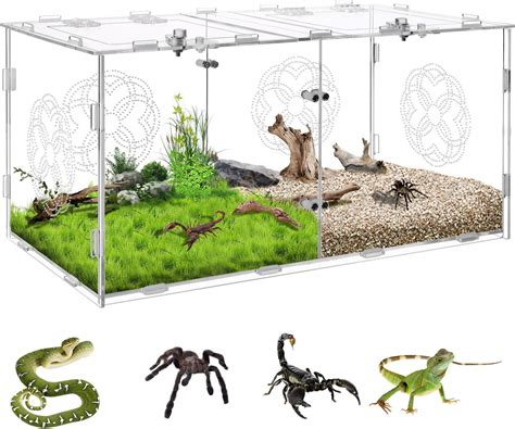 Acrylic Jumping Spider Enclosure With Double Compartments Large Size