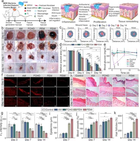 Mxene材料 Ti3c2 Nb2c Mof材料 Ti3c2 Nb2c 北科纳米