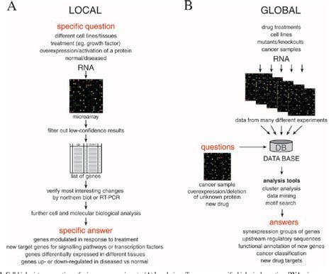 figure 1 from analysis of gene expression by microarrays cell biologist s gold mine or